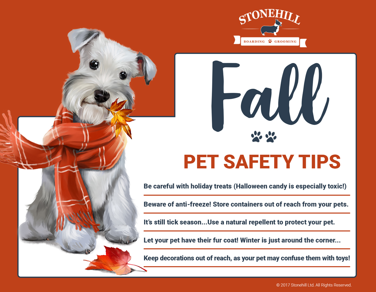 Fall Pet Safety Tips Stonehill Kennel Farm Fall Pet Safety Tips Stonehill Kennel Farm